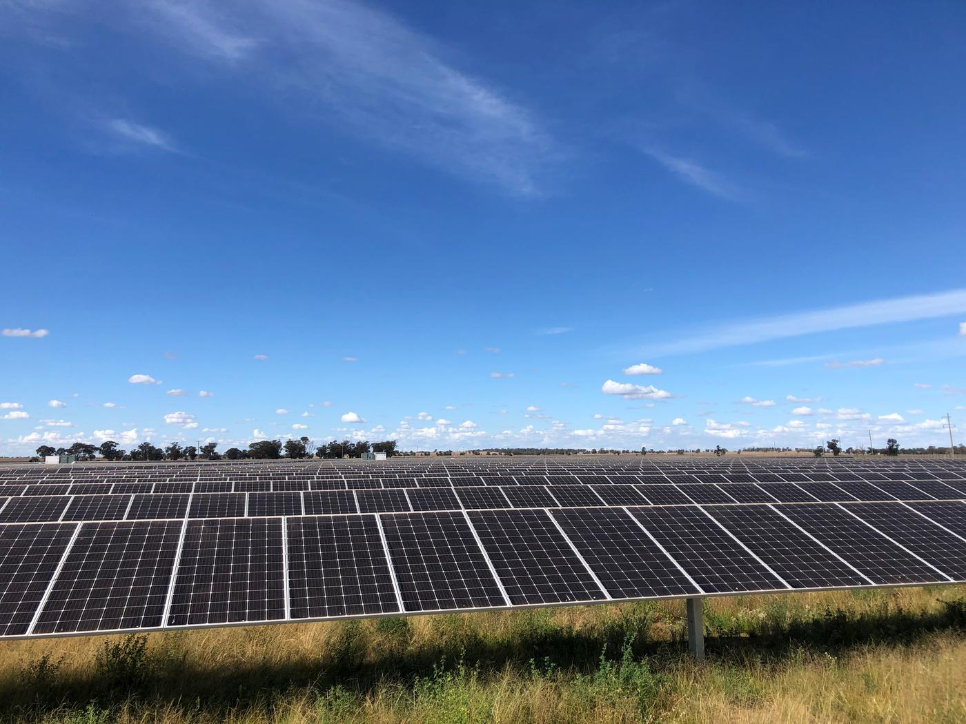 Ingka Investments purchases NSW solar parks - IKEA Australia