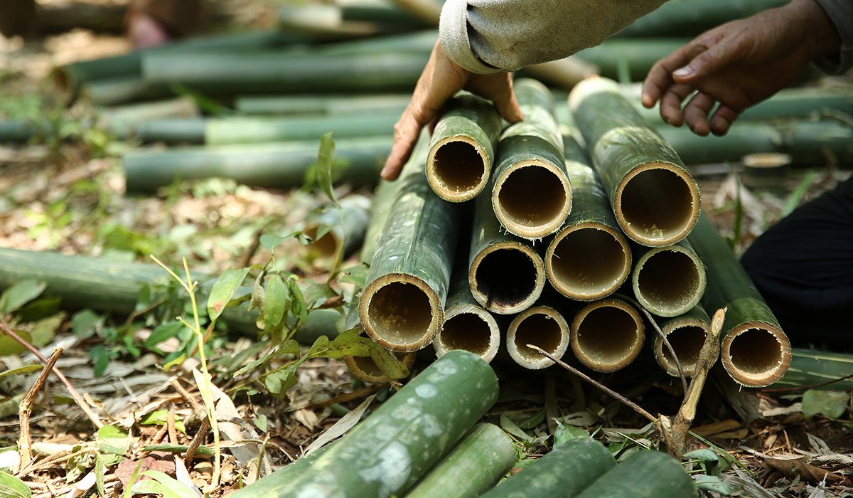 Materiali in armonia con la natura - IKEA Svizzera