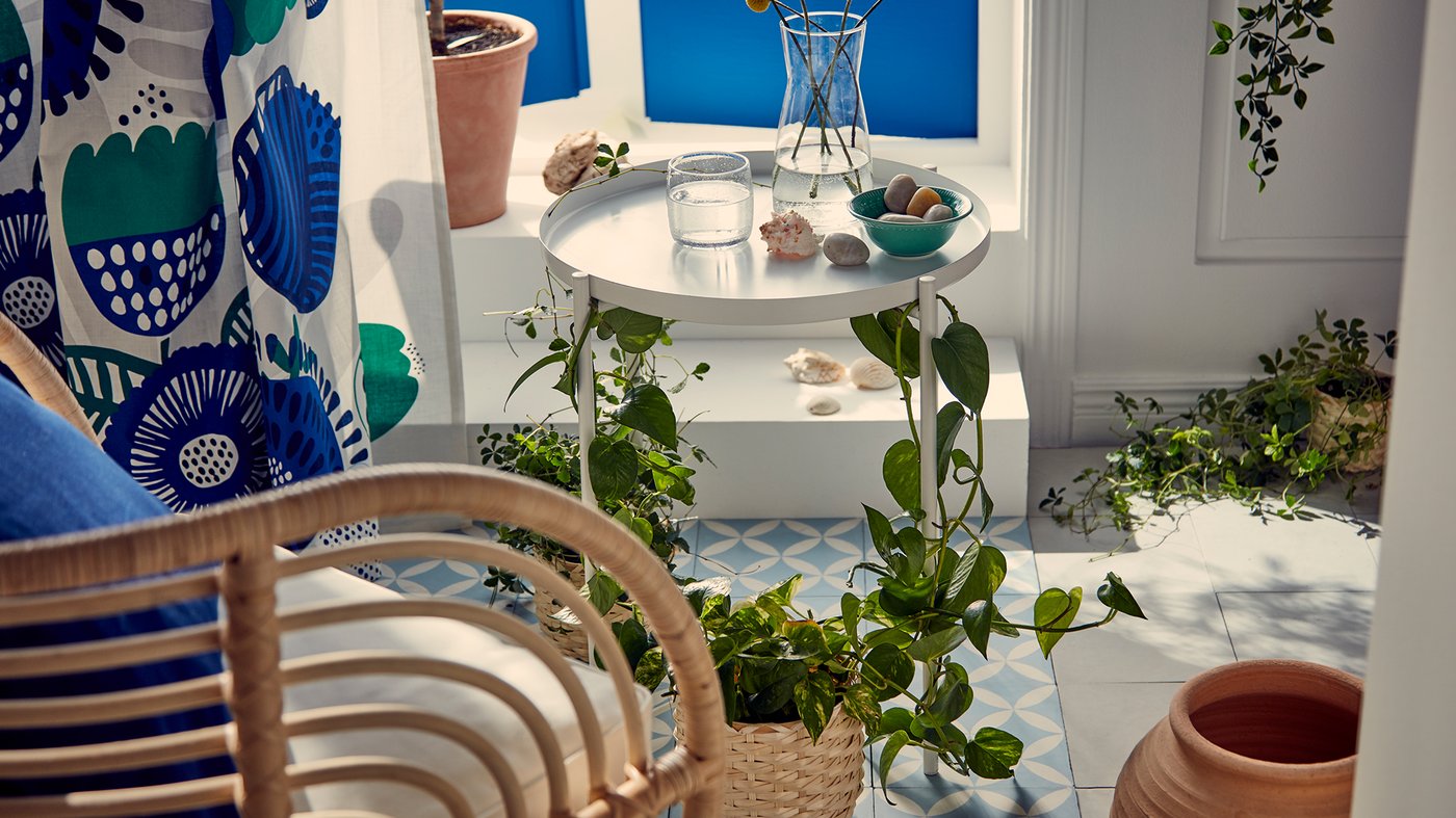 The any-season indoor rose garden - IKEA Thailand - IKEA