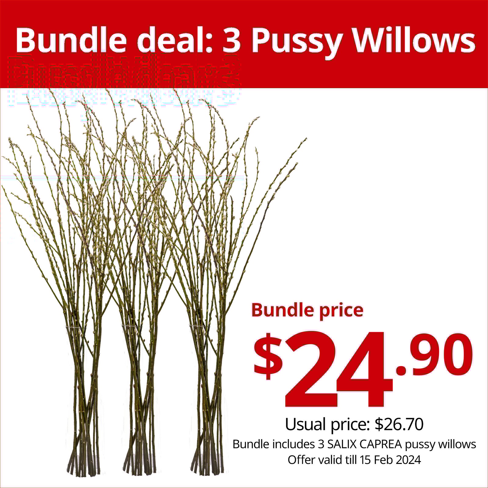 Plants - Home Decoration & Improvement - IKEA