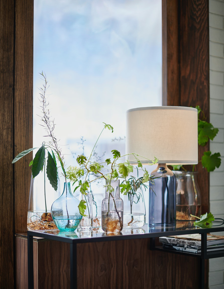 5 maneres econòmiques de decorar amb plantes i gerros - IKEA