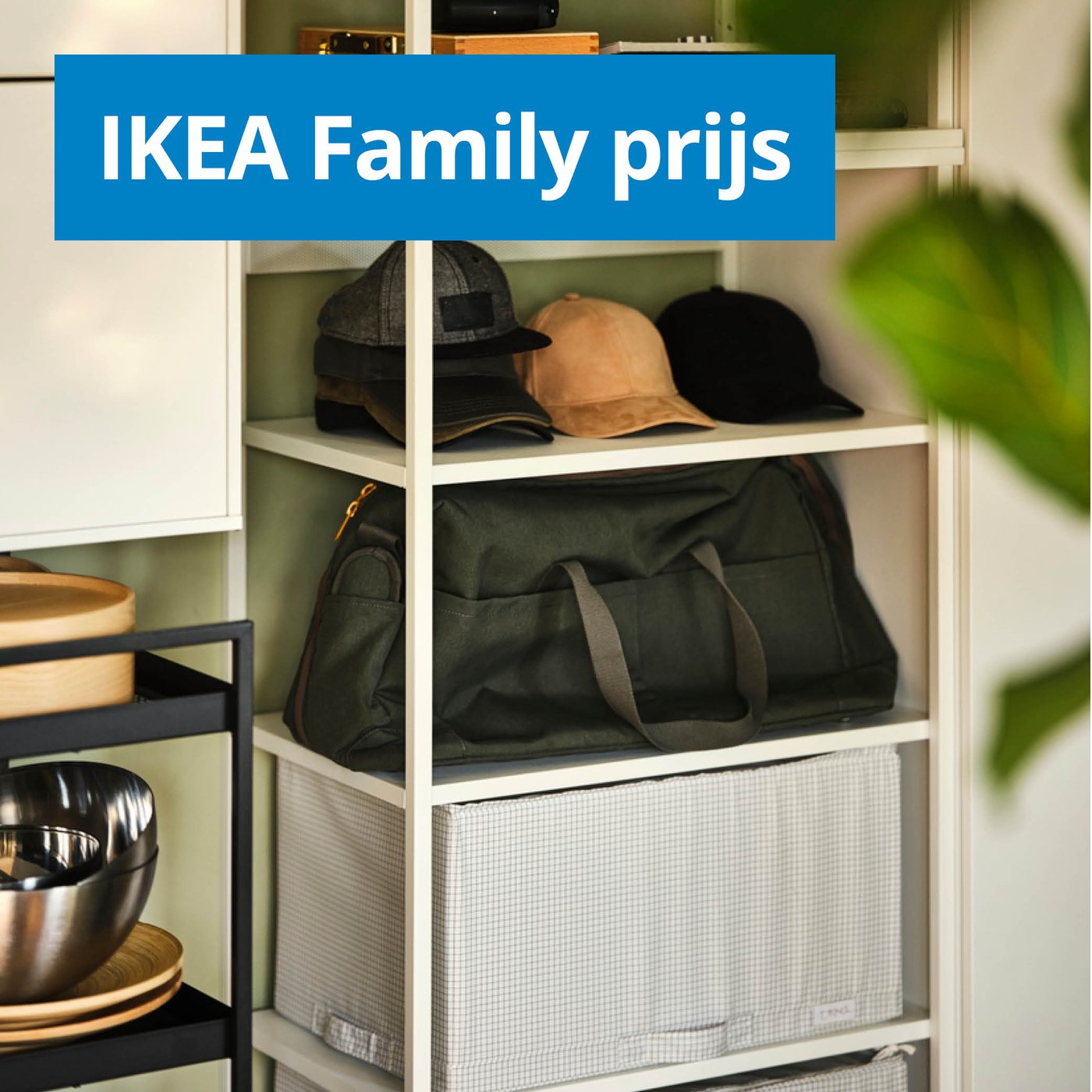 IKEA Family bij IKEA Delft - IKEA