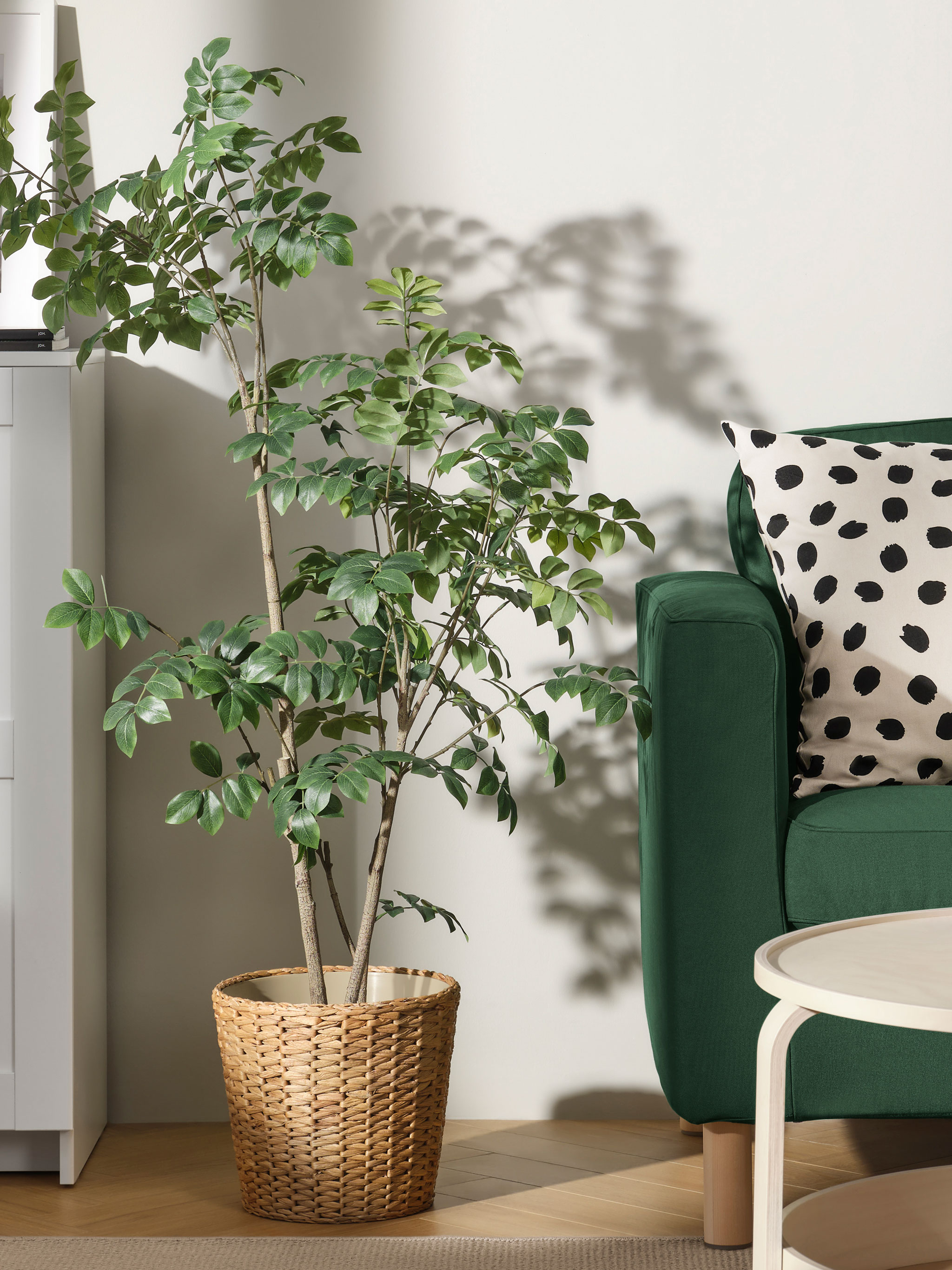 Inred med växter – små och stora växter inomhus - IKEA