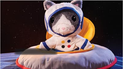 The AFTONSPARV collection has landed! - IKEA