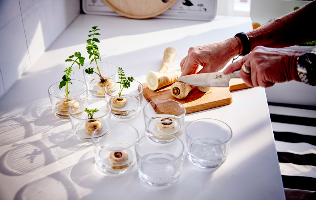 How To Regrow Vegetables From Kitchen Scraps - IKEA CA