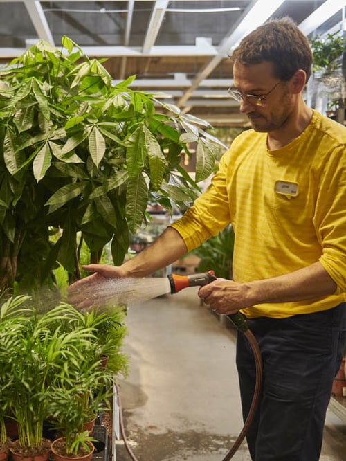 Towards a More Sustainable Everyday - IKEA UK