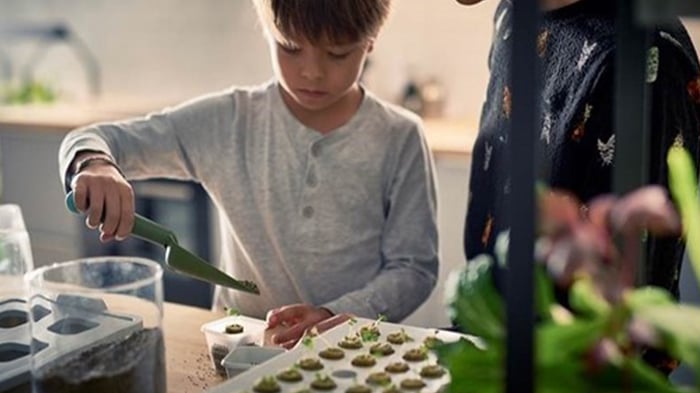 IKEA takes sustainable living to a new level by 2030. - IKEA