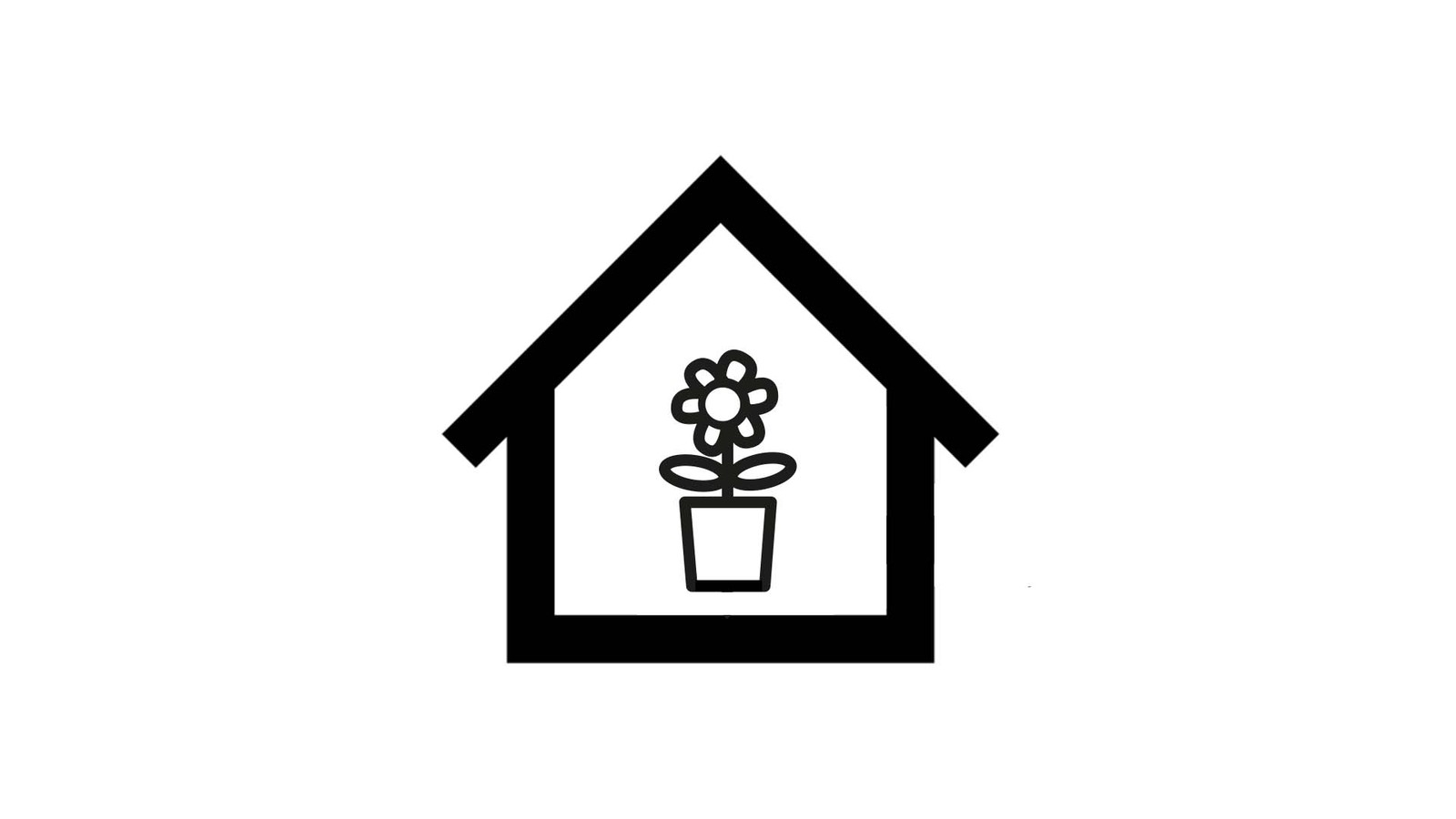 How to care for a ficus Bonsai tree - IKEA UK