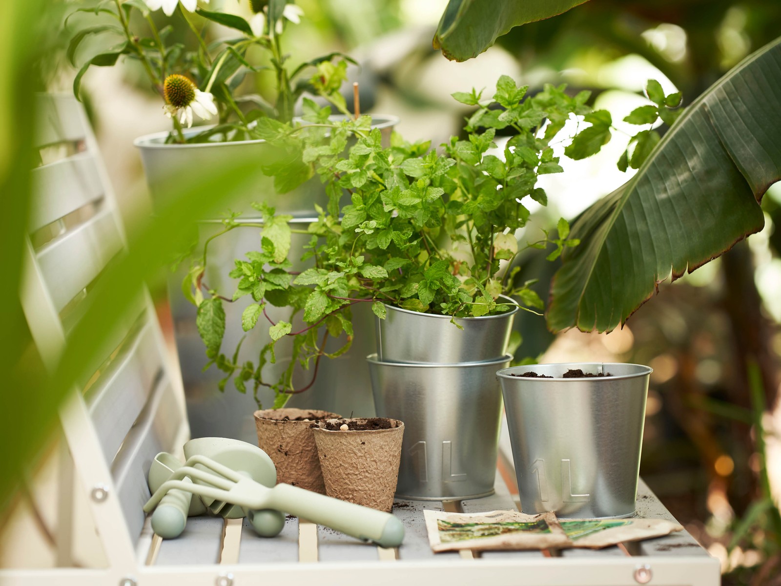 Peták Akadémia - IKEA