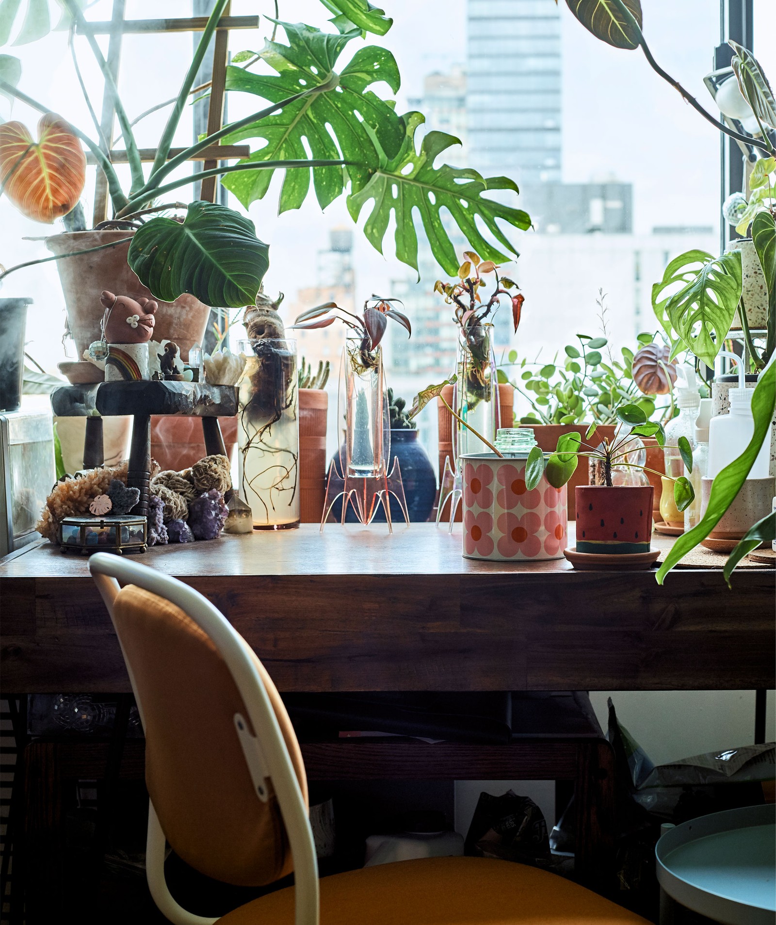 Tour a tiny city rental apartment full of houseplants - IKEA