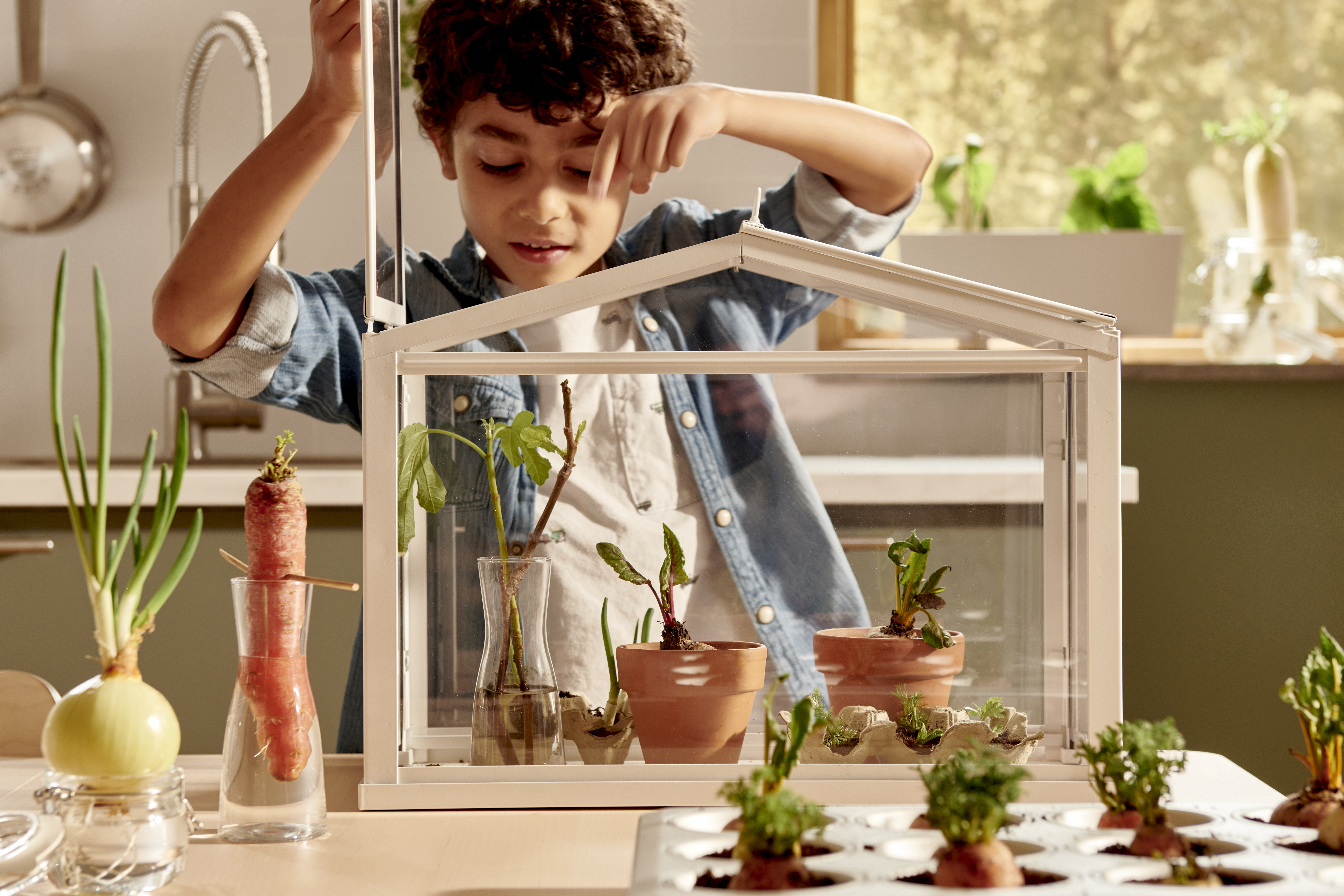 Uppdatera IVAR skåp med bets - IKEA