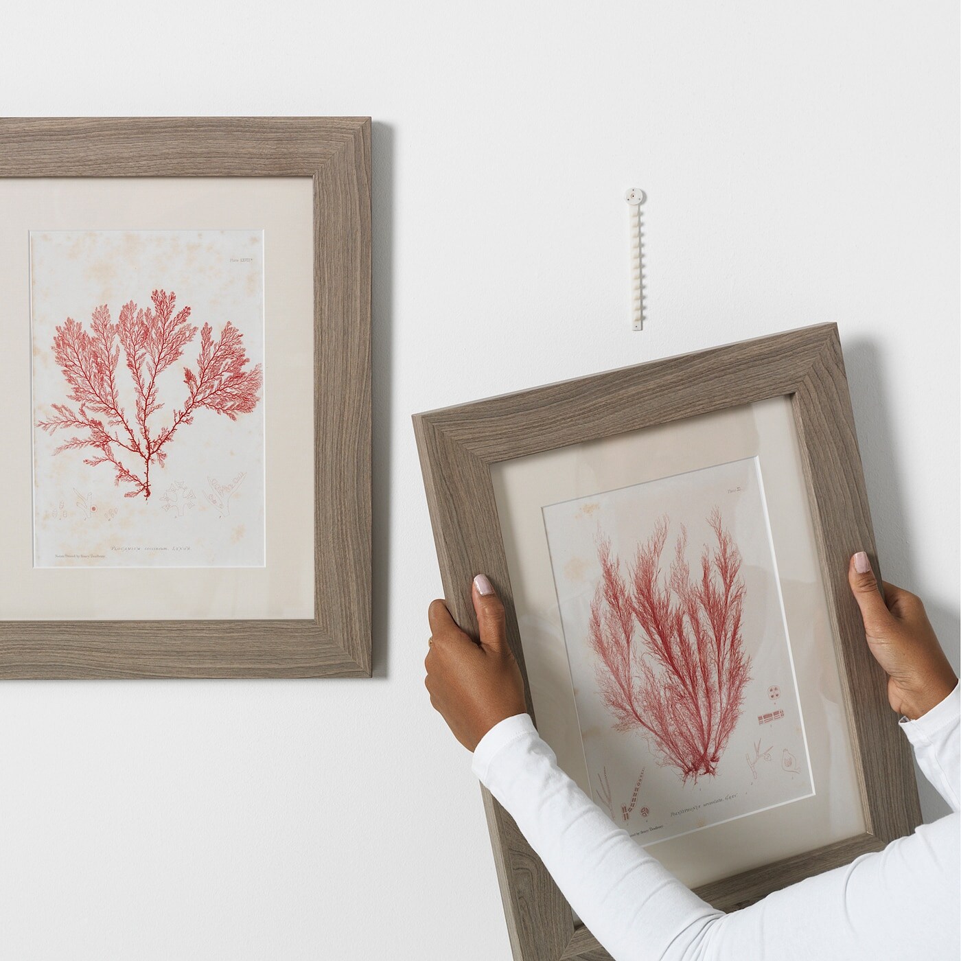 Decorate with pictures you love - IKEA