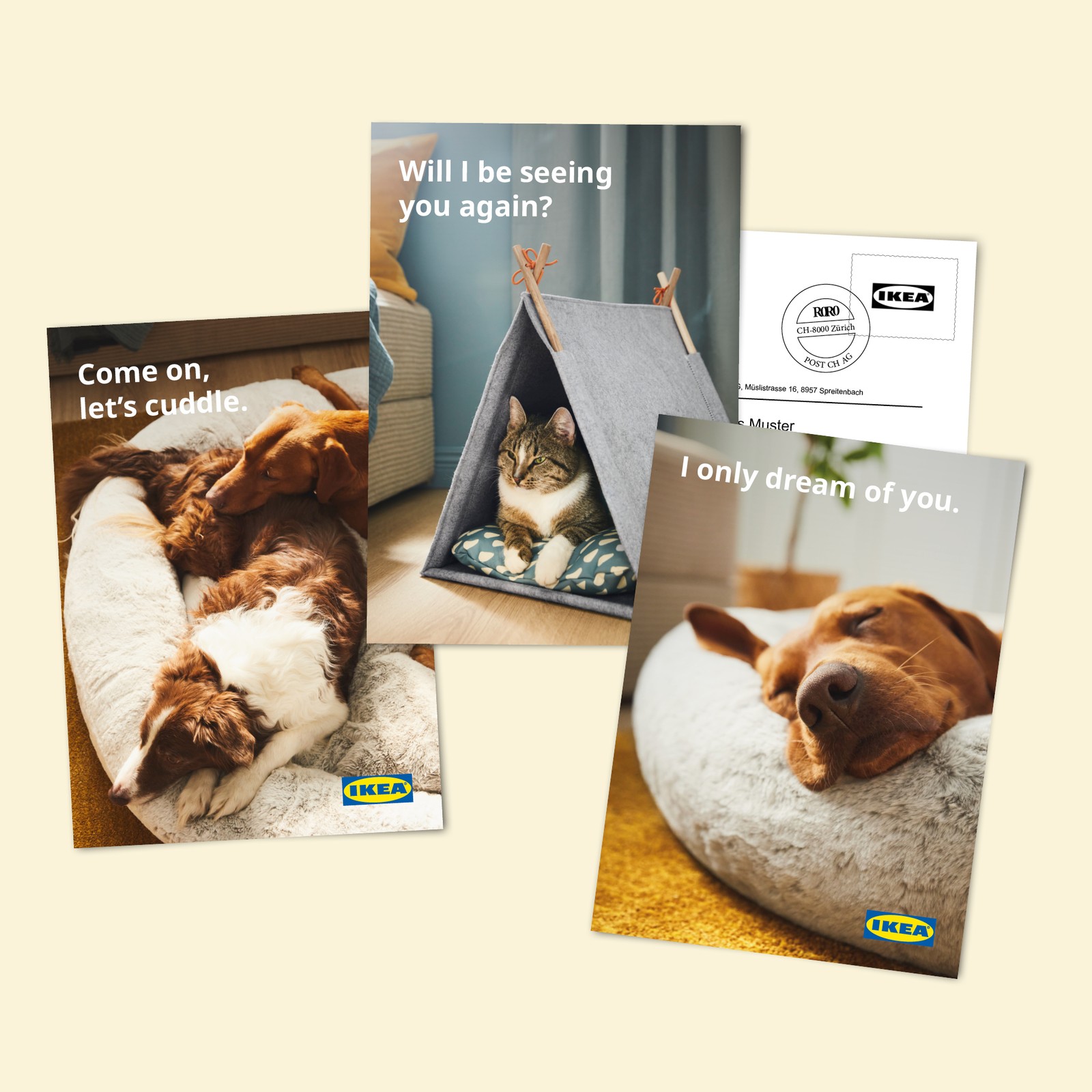 IKEA Family – one family, many benefits - IKEA Switzerland