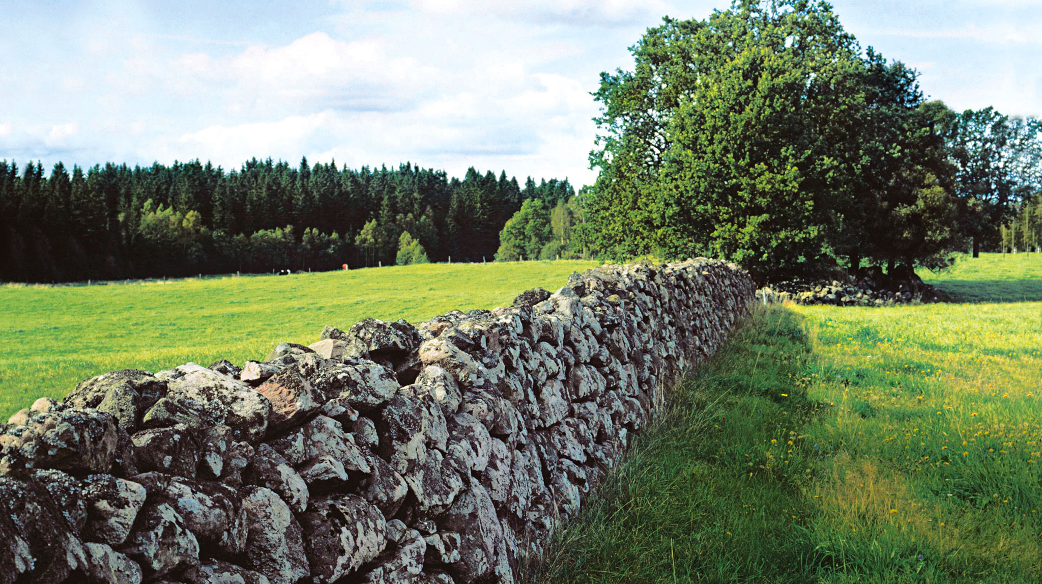 Culture & Values | IKEA Thailand - IKEA