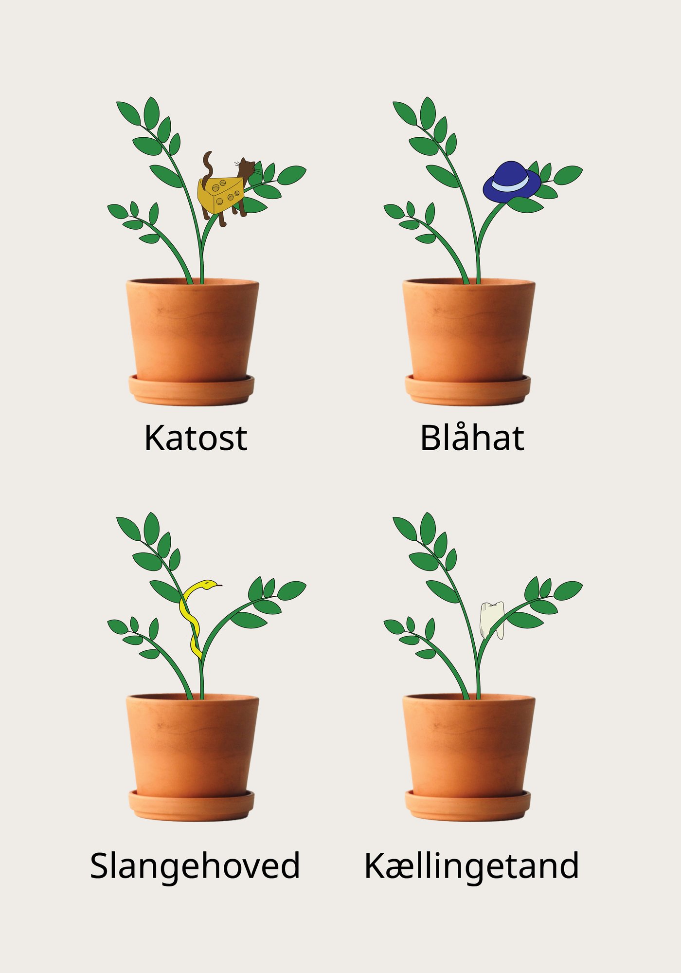 Vilde blomster med vilde navne – lær dem at kende her - IKEA