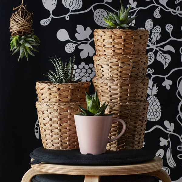 Plant Pot | Plant Pots - IKEA