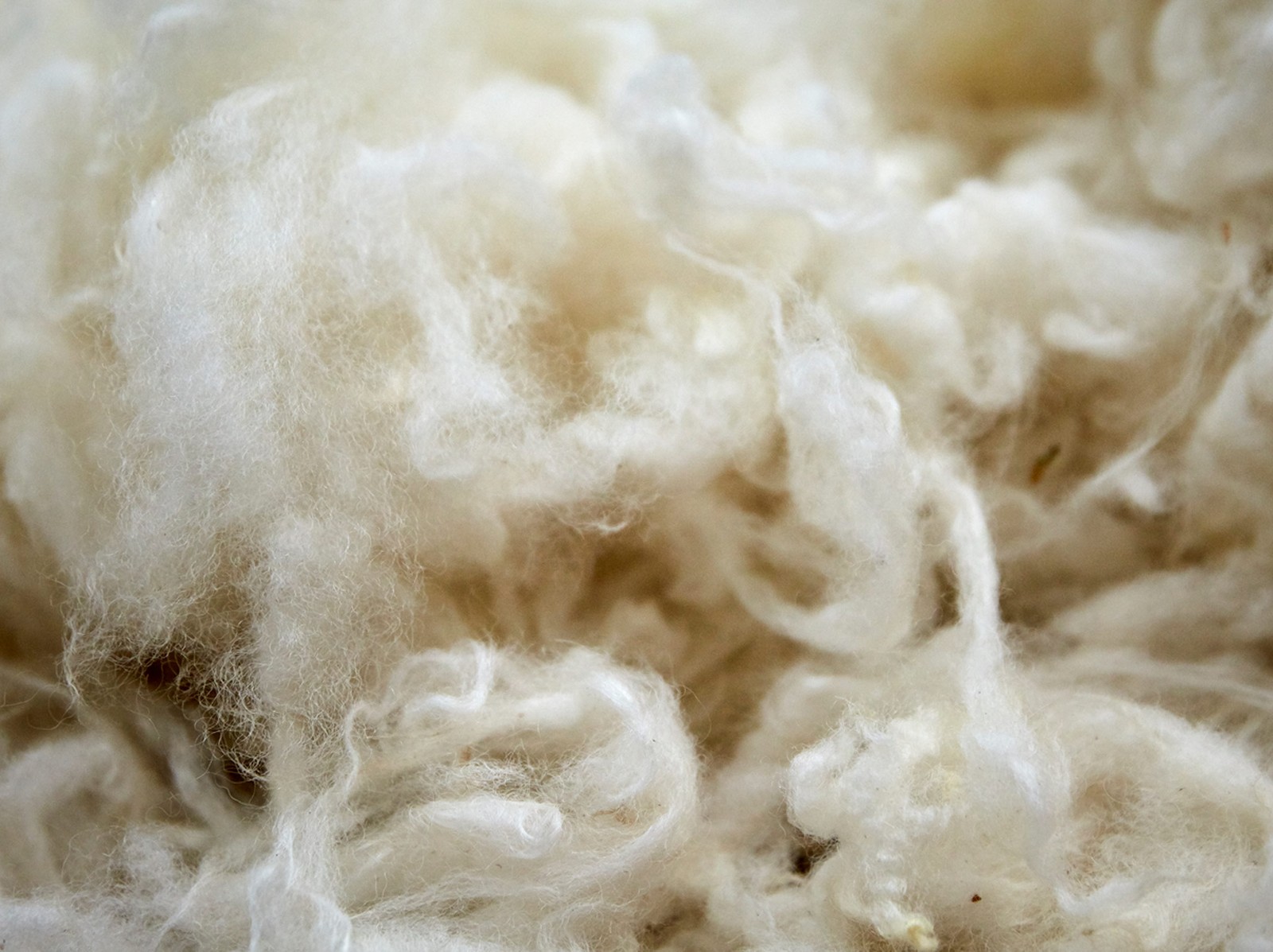 Responsibly Sourced Wool - IKEA