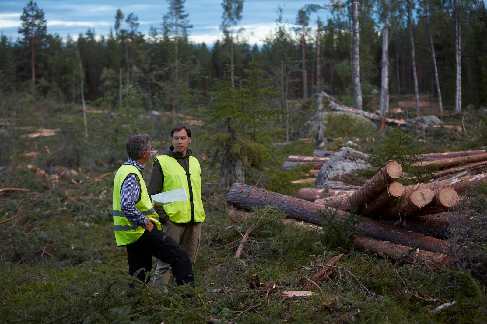 IKEAS Wald-Agenda 2030 - IKEA Deutschland