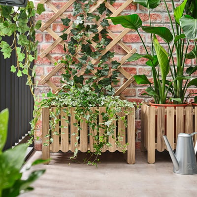 Askholmen Series - Elevate Your Outdoor Space with Wooden Furniture - IKEA