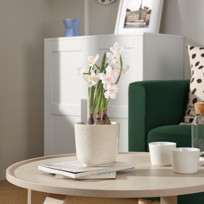 Artificial desk plants - IKEA