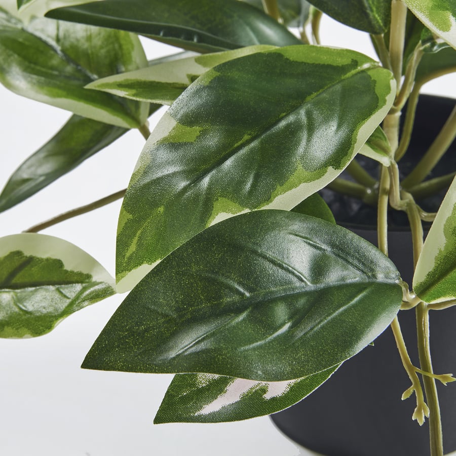 FEJKA artificial potted plant, in/outdoor/Wax plant hanging, 9 cm (3 ½ ...