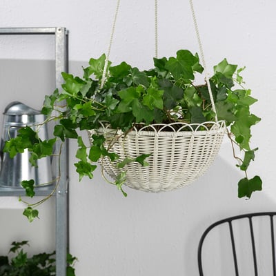 Hanging planters - IKEA