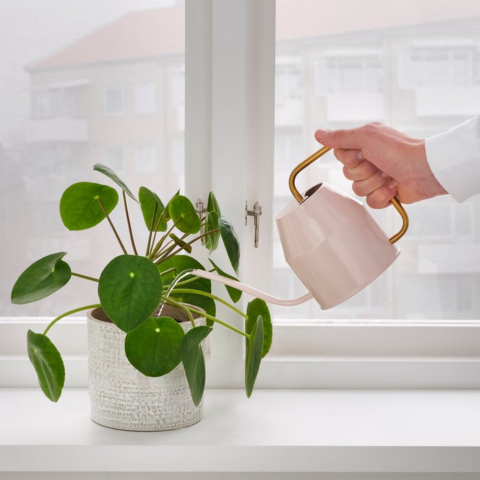 Limited Time Offers - IKEA