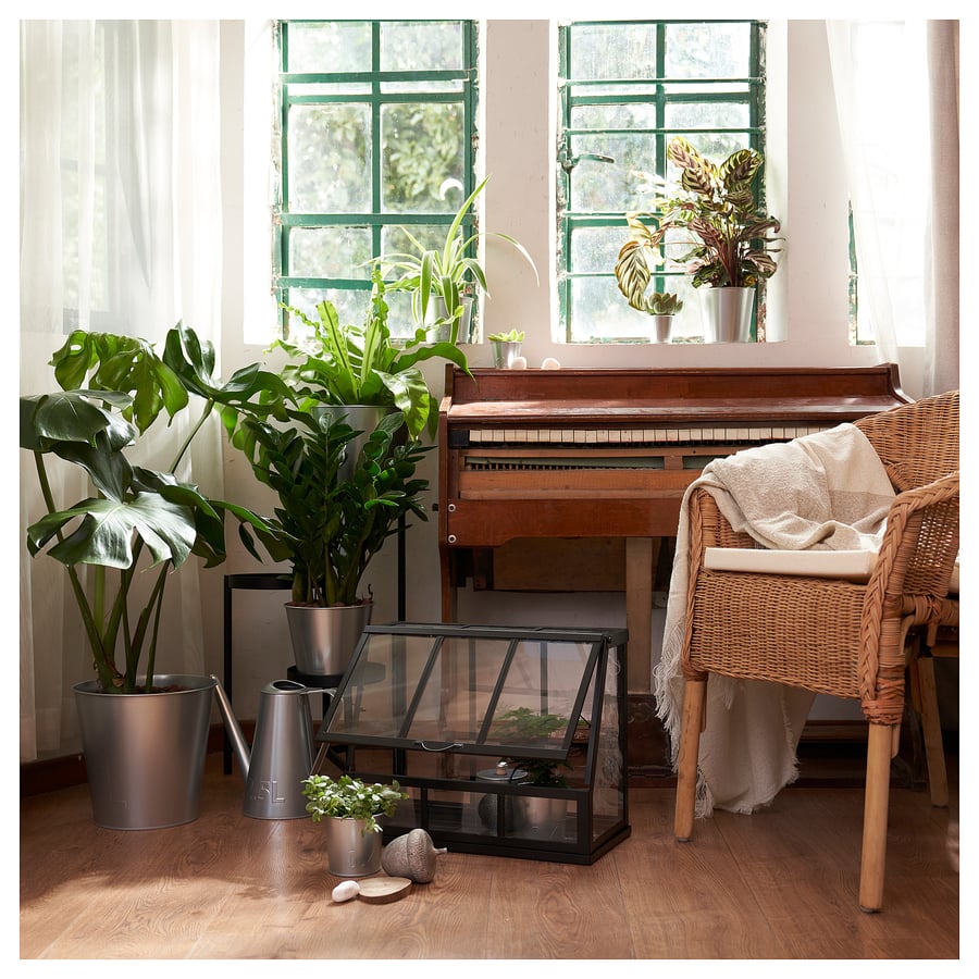 ÅKERBÄR serra, da interno/esterno/antracite, 45 cm - IKEA Italia