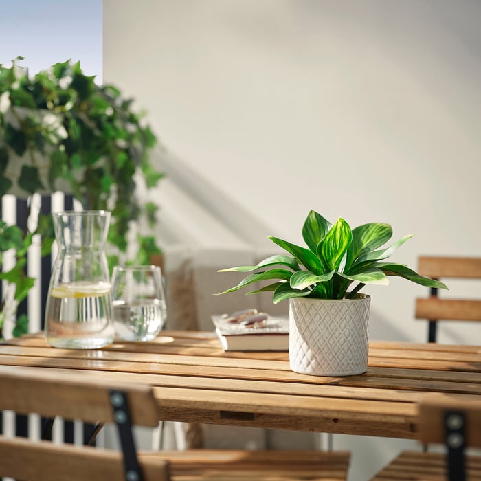 FEJKA artificial potted plant, in/outdoor/plantain lily, 9 cm - IKEA