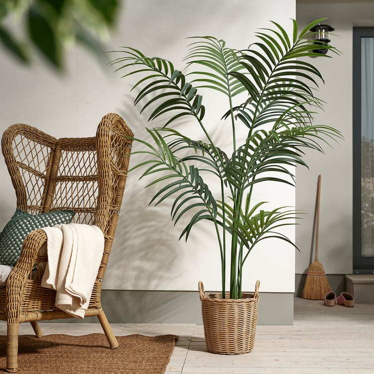 FEJKA artificial potted plant, in/outdoor/Kentia palm, 21 cm - IKEA