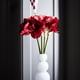 VINTERFINT artificial flower, in/outdoor Amaryllis/red, 60 cm - IKEA