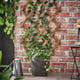 ASKHOLMEN trellis, dark brown - IKEA
