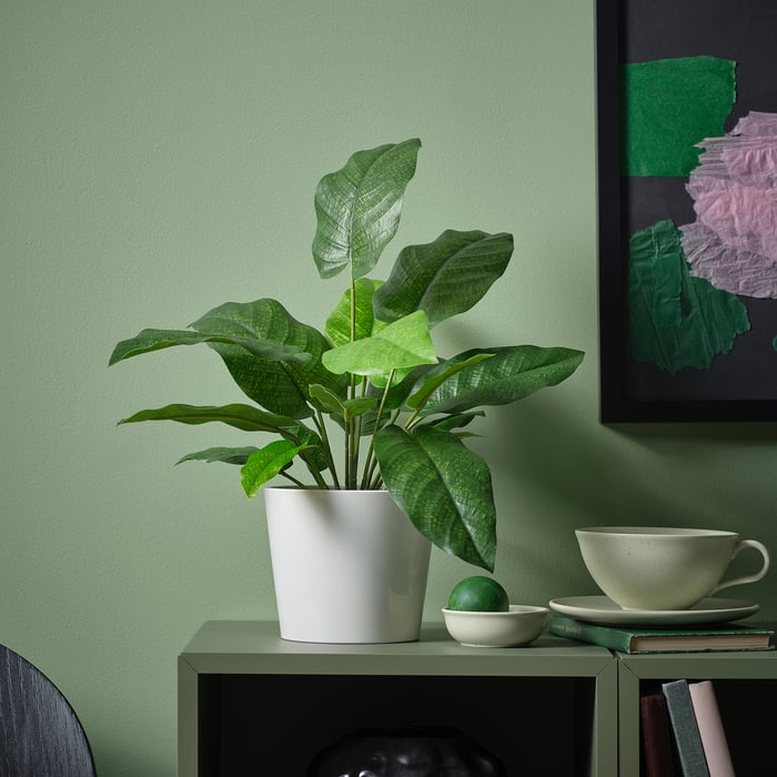 FEJKA artificial potted plant, in/outdoor calathea, 12 cm - IKEA