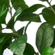 FEJKA artificial potted plant, in/outdoor fiddle-leaf fig, 19 cm - IKEA