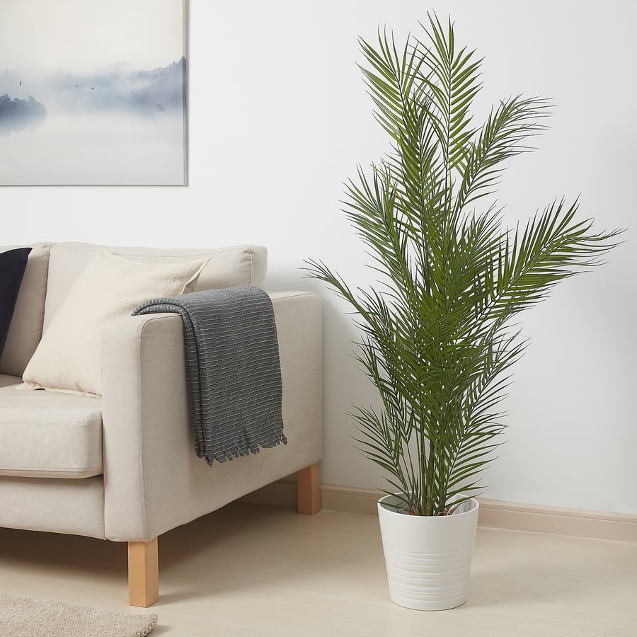 FEJKA artificial potted plant, in/outdoor/Kentia palm, 15 cm - IKEA