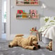 GOSIG GOLDEN soft toy, dog/golden retriever, 70 cm - IKEA