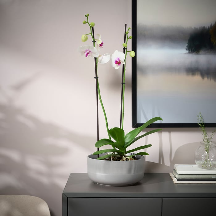 GRADVIS series - IKEA