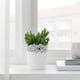 SAMVERKA plant pot, white, 9 cm - IKEA