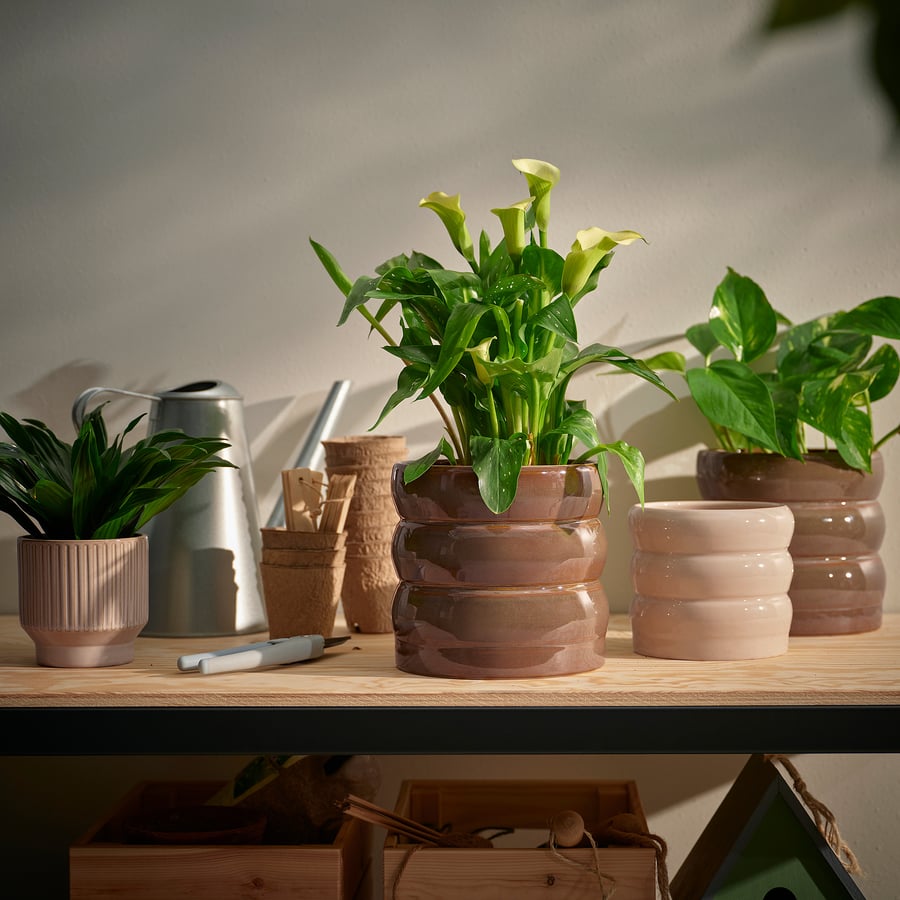 HASSELBUKETT cache-pot, intérieur/extérieur/beige, 12 cm - IKEA