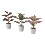 Serie de plantas y flores artificiales - IKEA