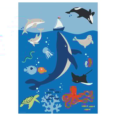 BILD poster, ocean animals, 50x70 cm - IKEA Malaysia