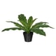 FEJKA artificial potted plant, in/outdoor Crocodile fern, 12 cm - IKEA ...