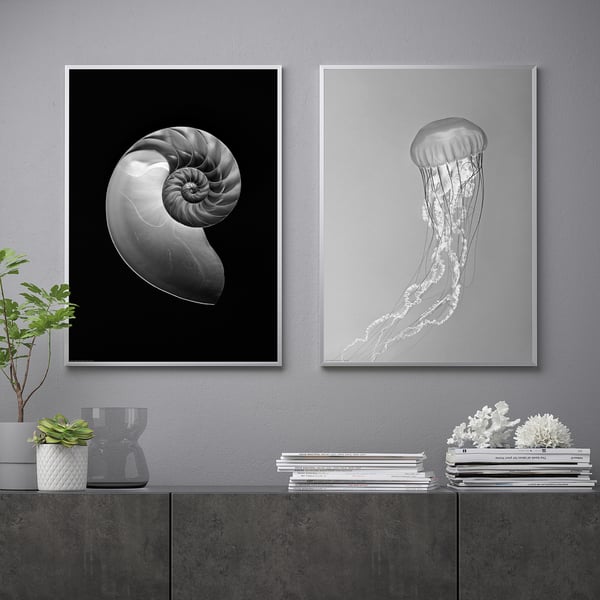 BILD Poster - IKEA