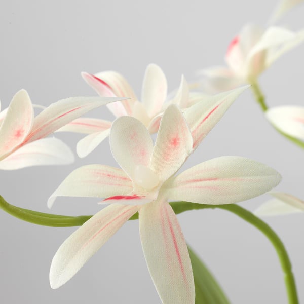 FEJKA tumbuhan tiruan berpasu, orkid kuning, 12 cm - IKEA Malaysia