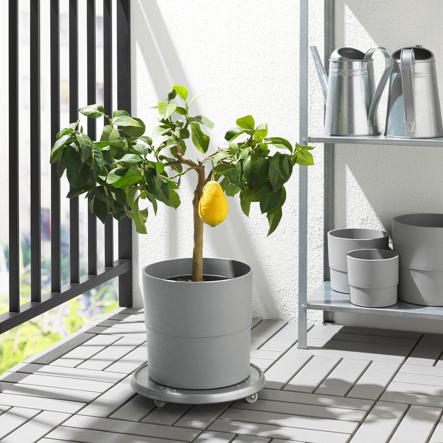 NYPON pasu, dalam/luar kelabu, 24 cm - IKEA Malaysia
