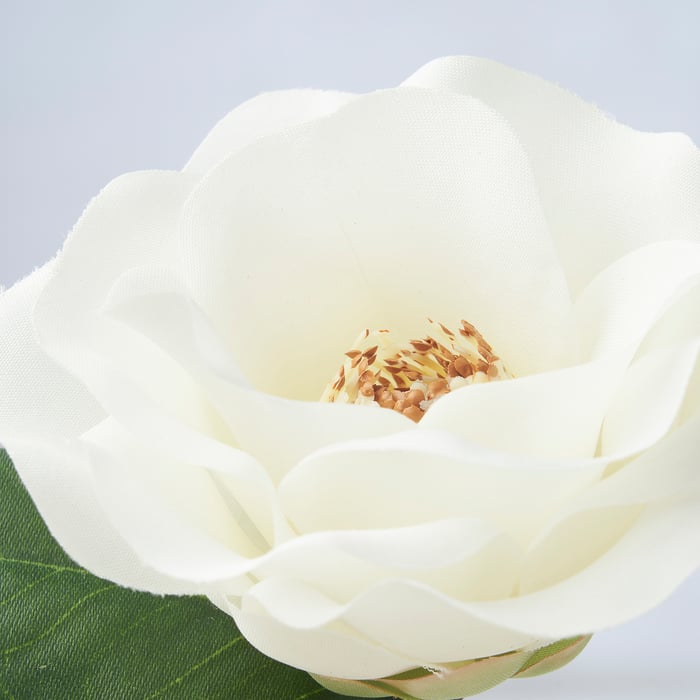 SMYCKA bunga tiruan, dalam/luar /Camellia putih, 28 cm - IKEA Malaysia