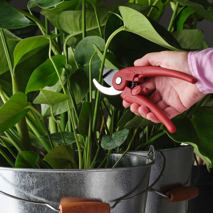 BRYTBÖNA Secateurs - bright red - IKEA