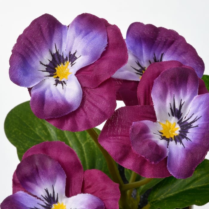FEJKA artificial potted plant, in/outdoor/Pansy, 6 cm - IKEA