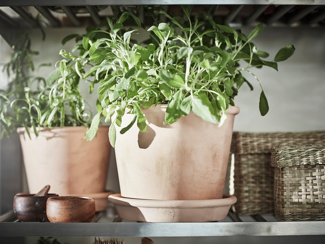 MUSKOTBLOMMA Plant pot with saucer, in/outdoor terracotta, 12 cm - IKEA