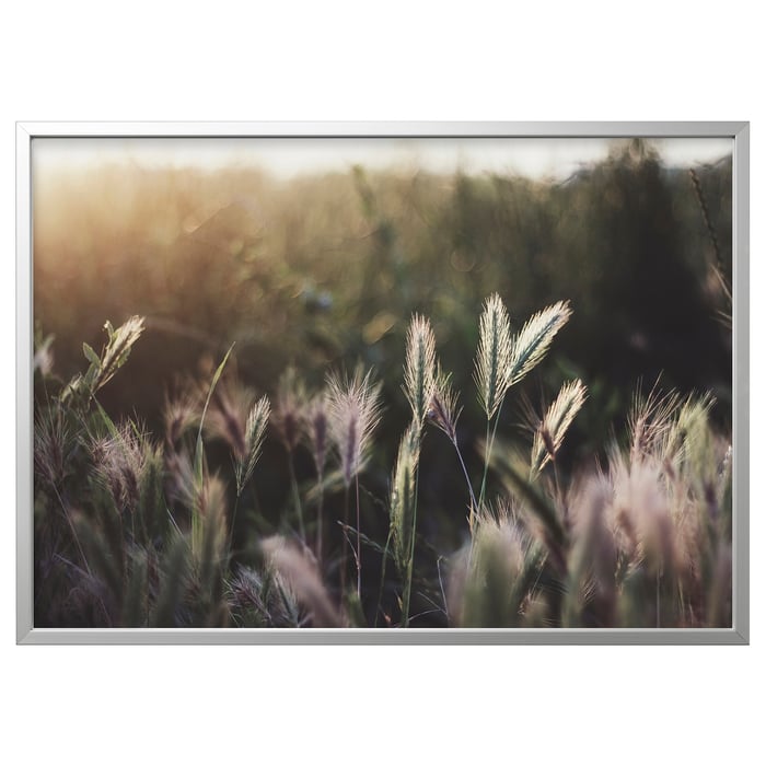 Bilderammer, plakater og ferdig innrammede bilder – Kjøp dine ...